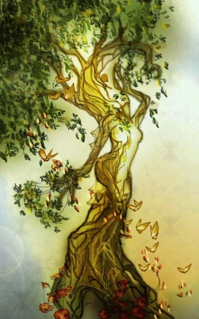 Dryad | Greek Mythology Wiki | Fandom