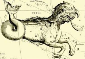 Cetus | Greek Mythology Wiki | Fandom