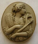 Peacock | Greek Mythology Wiki | Fandom