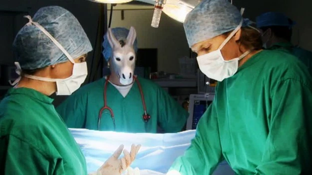 Episode 2.4 | Green Wing Wiki | Fandom