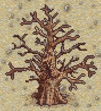 Elm Tree | Green Project Wiki | Fandom