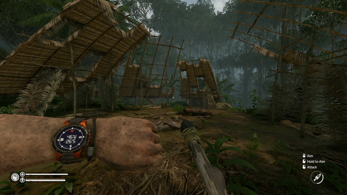 Abandoned Tribal Village | Green Hell Wiki | Fandom