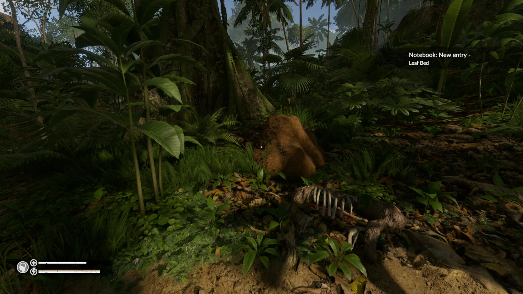 Anthill | Green Hell Wiki | Fandom