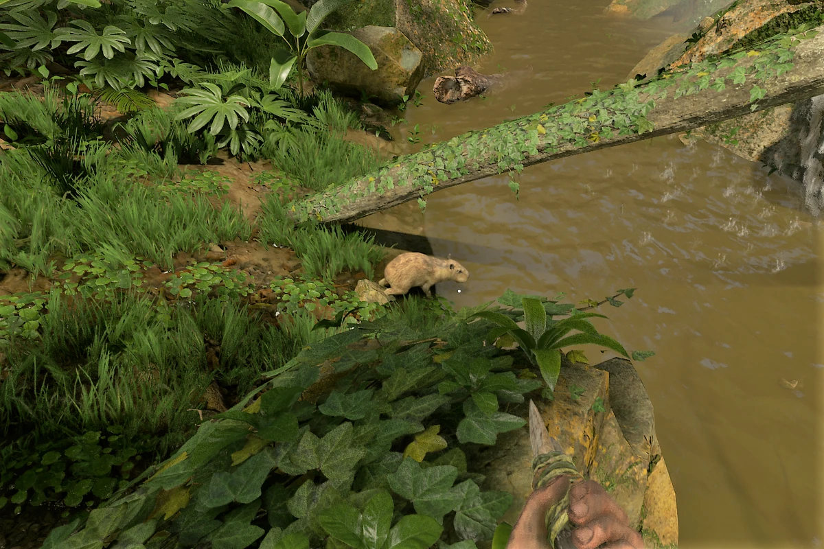 Capybara | Green Hell Wiki | Fandom