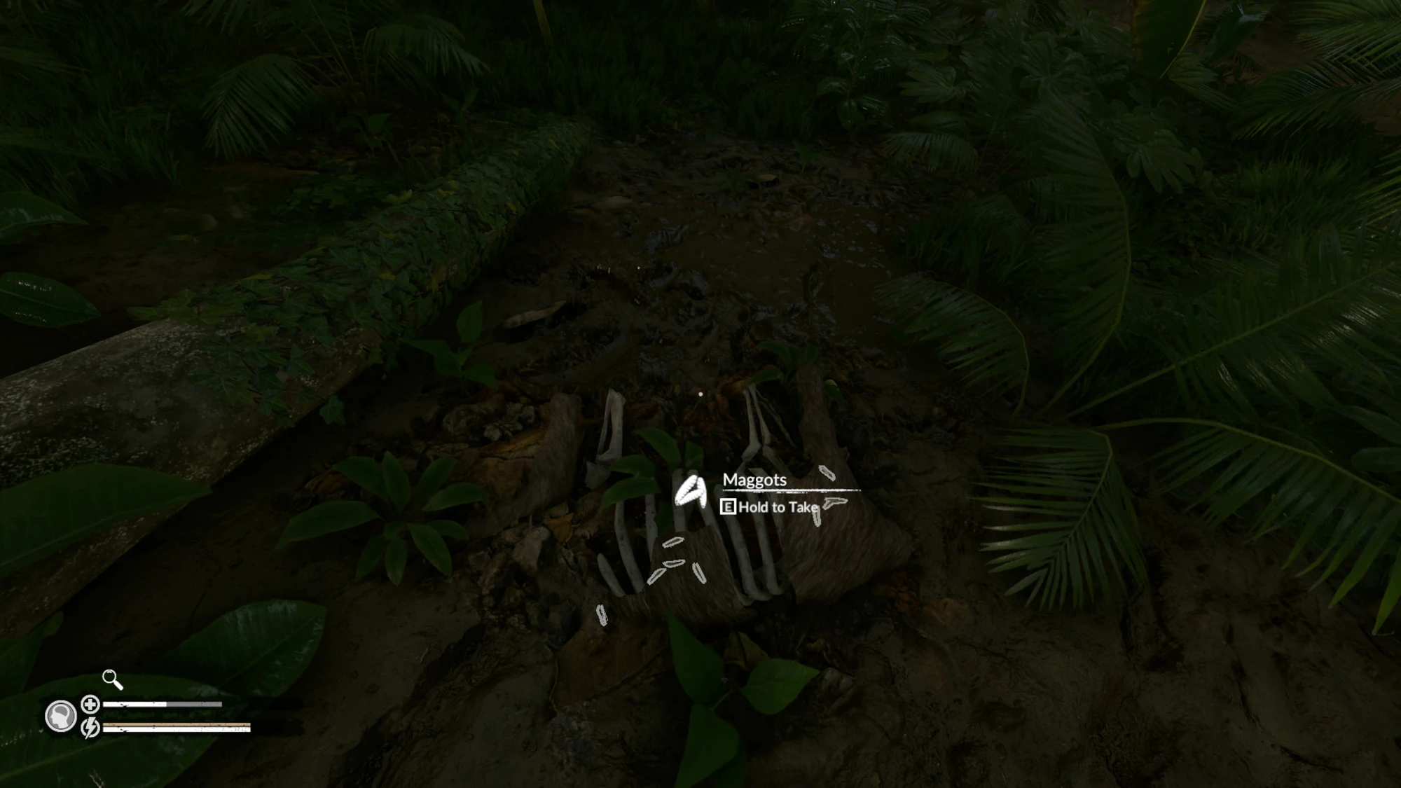 Maggots | Green Hell Wiki | Fandom