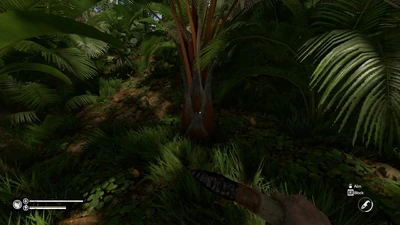 Palm Fruit | Green Hell Wiki | Fandom