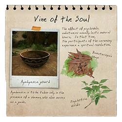 Note - Liane des âmes — Wiki Officiel de Green Hell