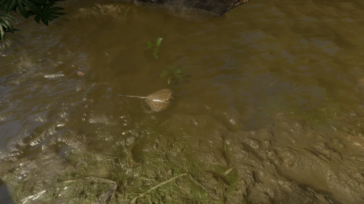 Green Hell Stingray Sting
