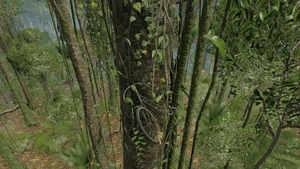 Howling Spirit - Official Green Hell Wiki