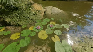 Water Lily - Official Green Hell Wiki