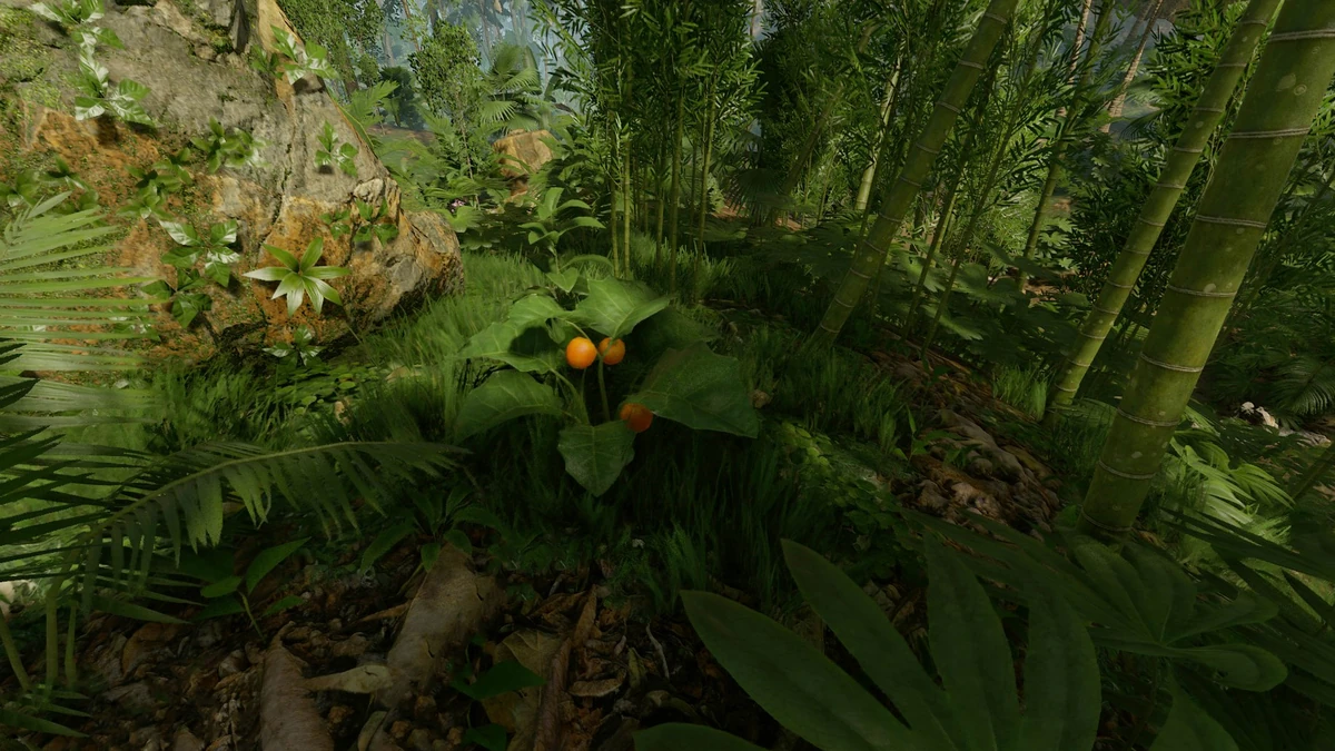 Unknown Fruit Plant - Official Green Hell Wiki