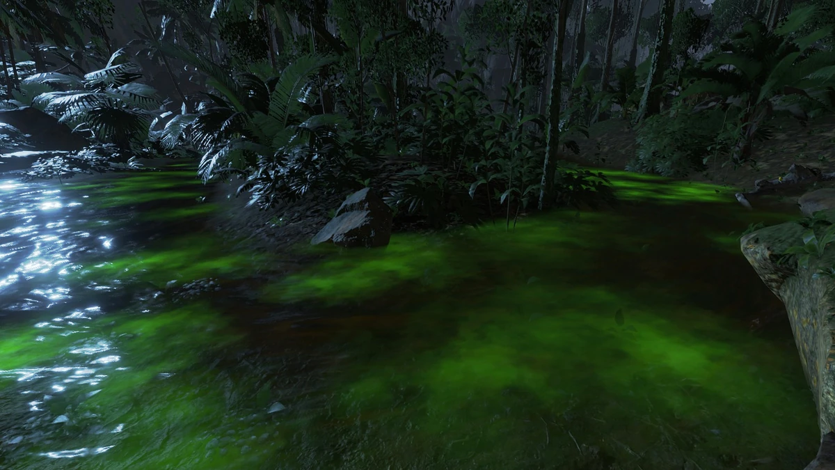 how to boil water green hell