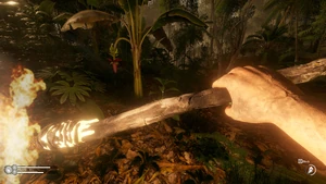 Torch - Official Green Hell Wiki