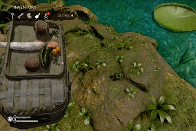 how to boil water in green hell