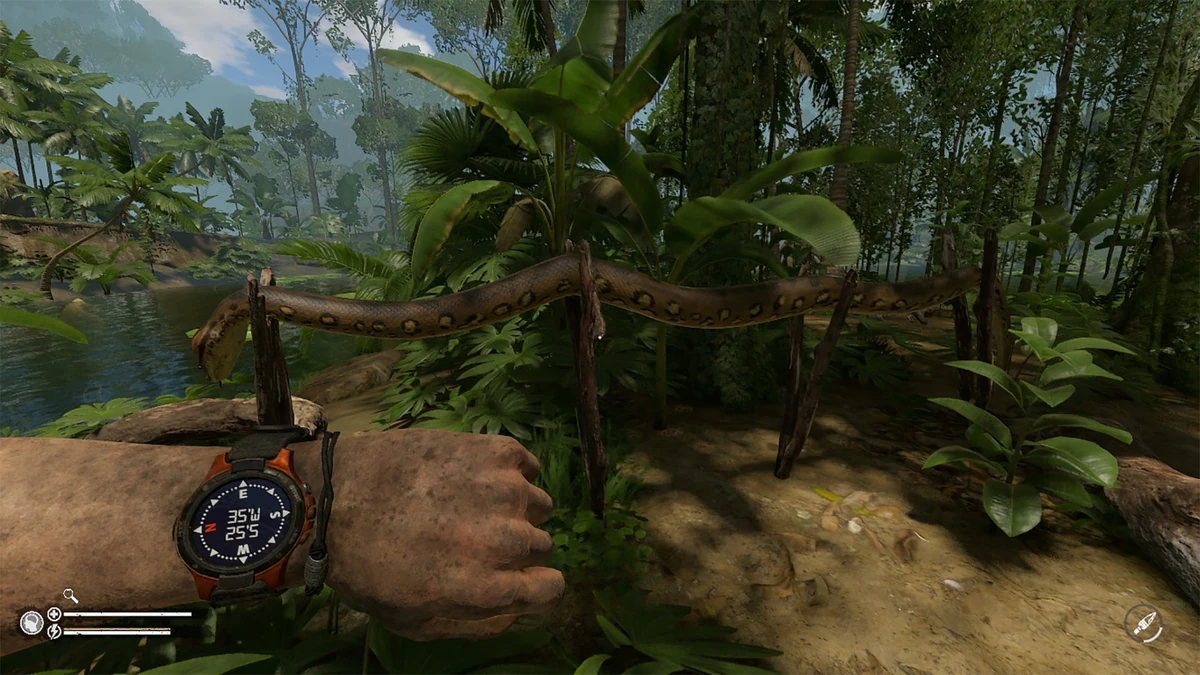 Anaconda Island - Official Green Hell Wiki