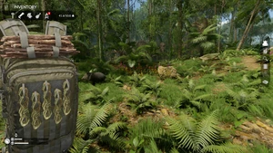 Inventory - Official Green Hell Wiki