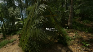 Save - Official Green Hell Wiki