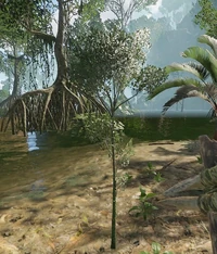 Trees - Official Green Hell Wiki