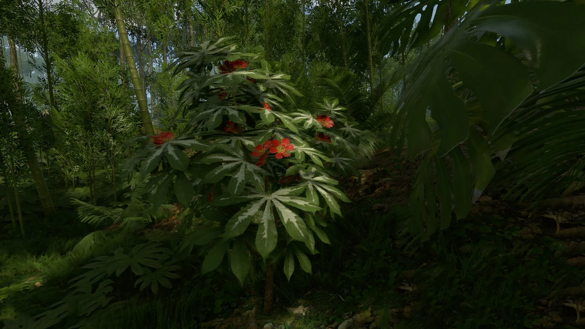 Cassava - Official Green Hell Wiki