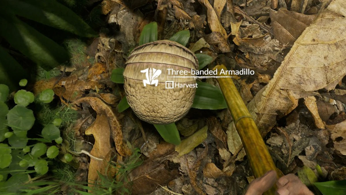 Three Banded Armadillo - Official Green Hell Wiki
