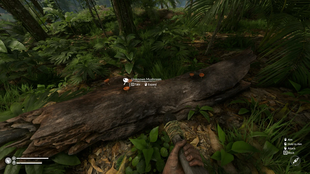 Unknown Mushroom 1 - Official Green Hell Wiki