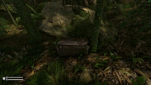 Storage Box - Official Green Hell Wiki