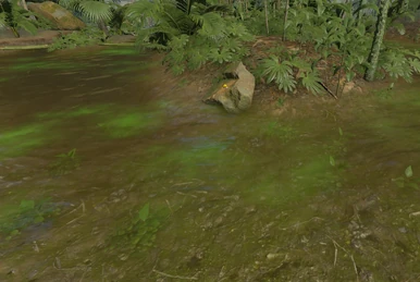 how to boil water green hell