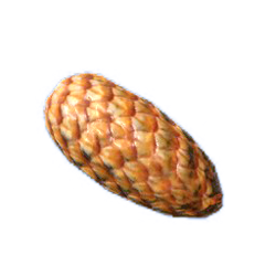 Unknown Nut - Official Green Hell Wiki
