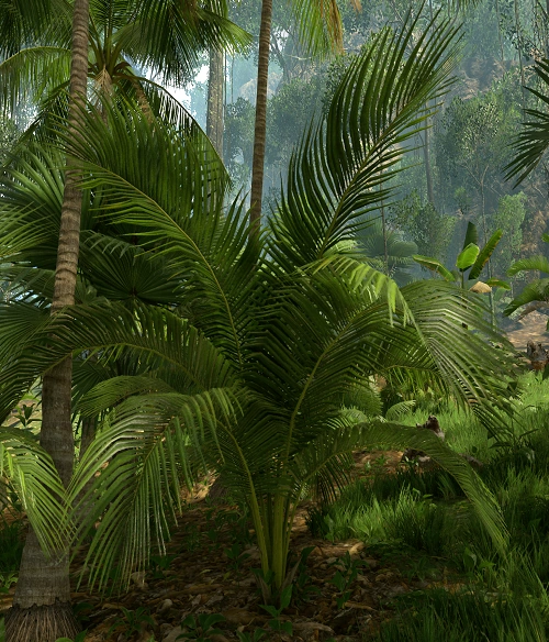 Dwarf Palm - Official Green Hell Wiki