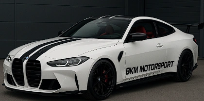 User blog:Biggreenvilefan/2025 BKM W40 Modified Edition | Greenville ...