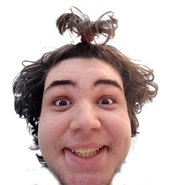 Assets | Greenys Grand Game Wiki | Fandom