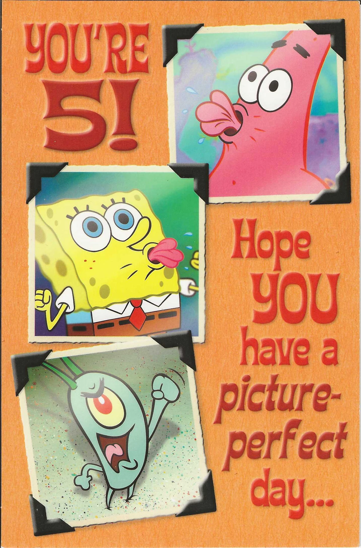 Picture Perfect | Greeting Cards Wiki | Fandom