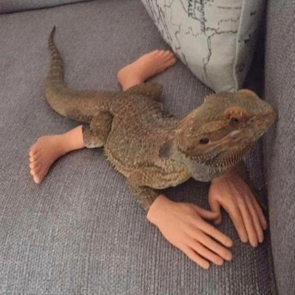 Spooner | Greg Lore Wiki | Fandom