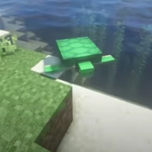 Mr. Turtle | Greg Renko Wiki | Fandom