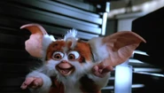 Mogwai | Gremlins Wiki | Fandom