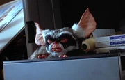 The New Batch | Gremlins Wiki | Fandom