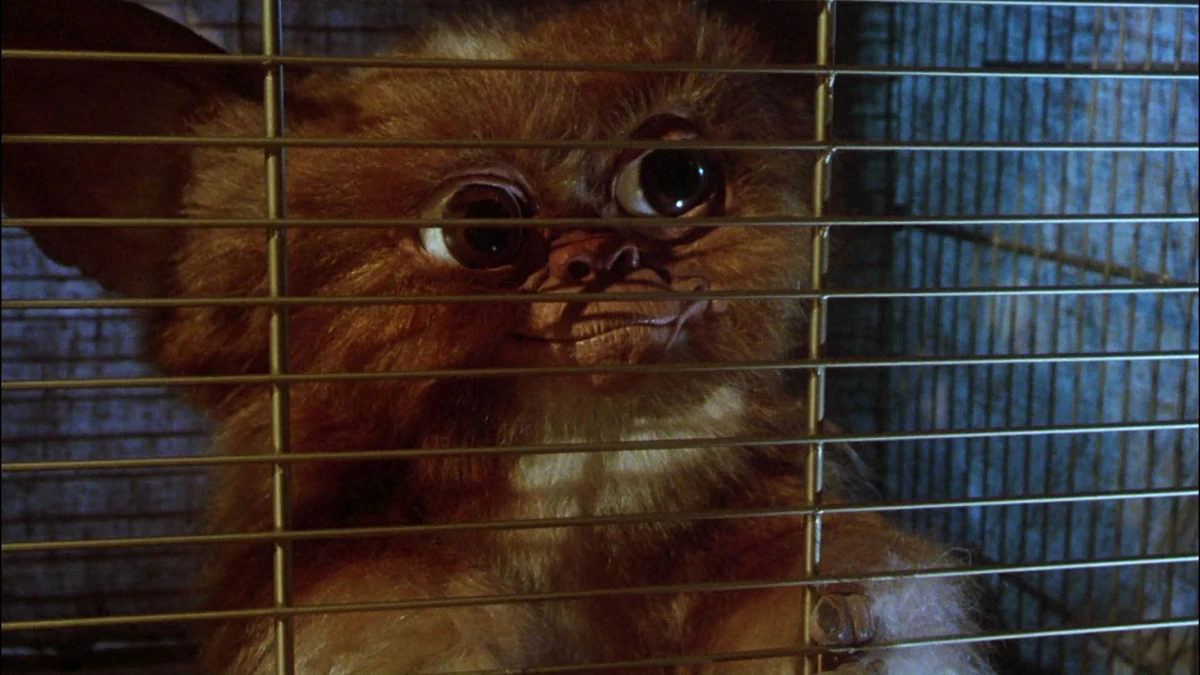 Earl | Gremlins Wiki | Fandom