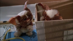 Earl | Gremlins Wiki | Fandom