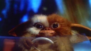 Gizmo | Gremlins Wiki | Fandom