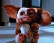 Gizmo | Gremlins Wiki | Fandom
