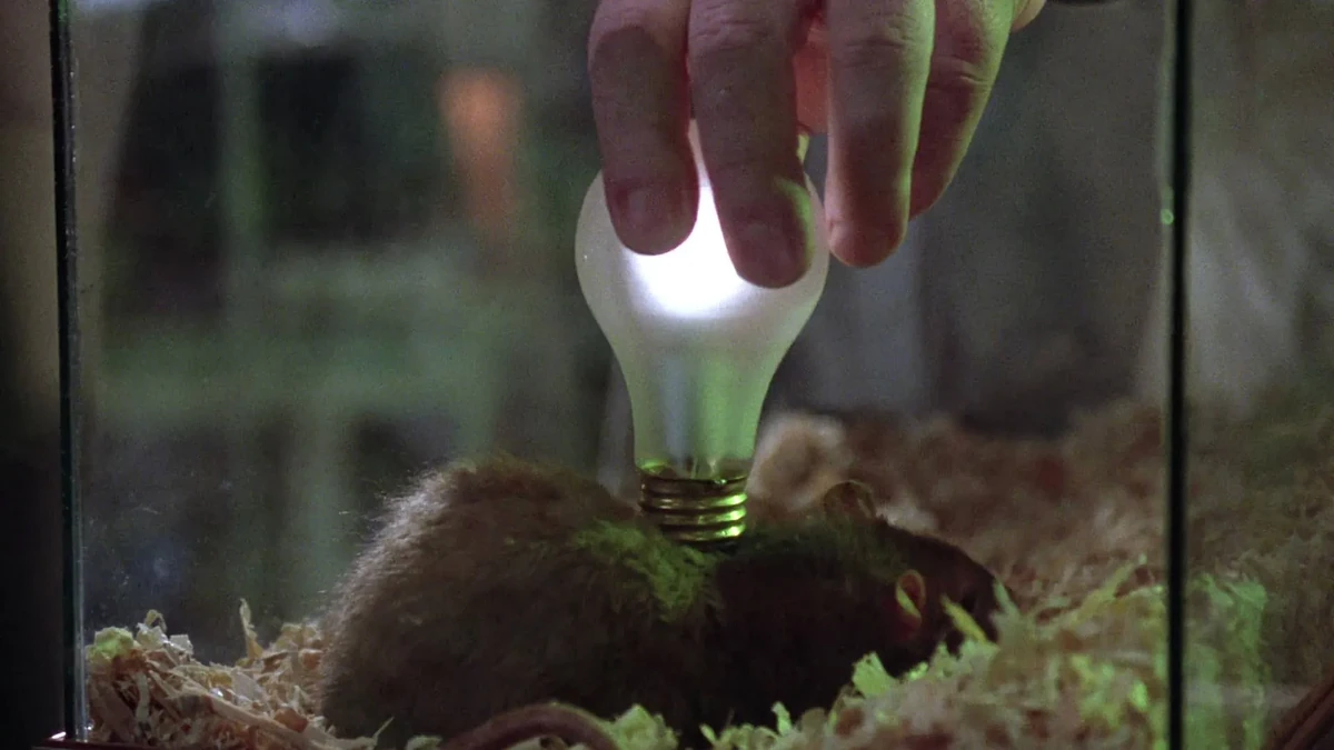 Electric rat | Gremlins Wiki | Fandom