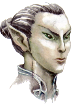 Eraj | Eletale Wiki | Fandom