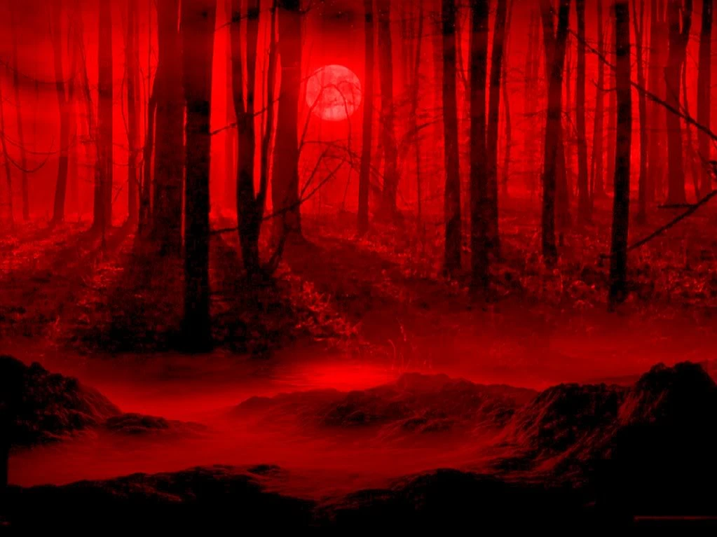 Bosque de Sangre | Eletale Wiki | Fandom