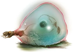 Cieno | Eletale Wiki | Fandom