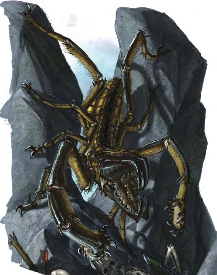 Rhagodessa | Eletale Wiki | Fandom