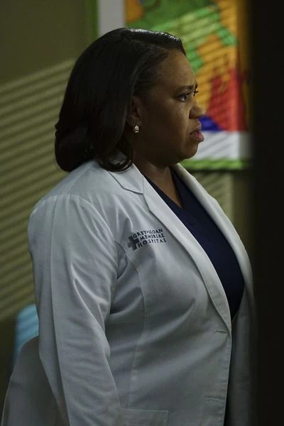 Miranda Bailey | Wiki Grey's Anatomy | Fandom