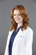 April Kepner | Wiki Grey's Anatomy | Fandom