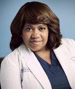 Miranda Bailey | Wiki Grey's Anatomy | Fandom