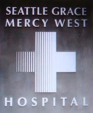Grey Sloan Memorial Hospital | Wiki Grey's Anatomy | Fandom