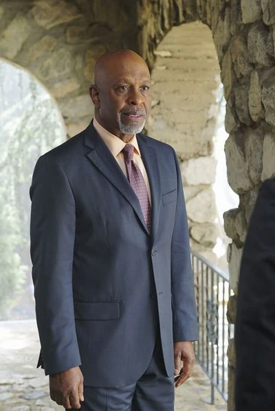 Richard Webber | Wiki Grey's Anatomy | Fandom